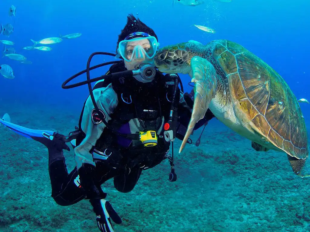 OLA Diving Center desde 80€ • Tenerife Paraíso Canario